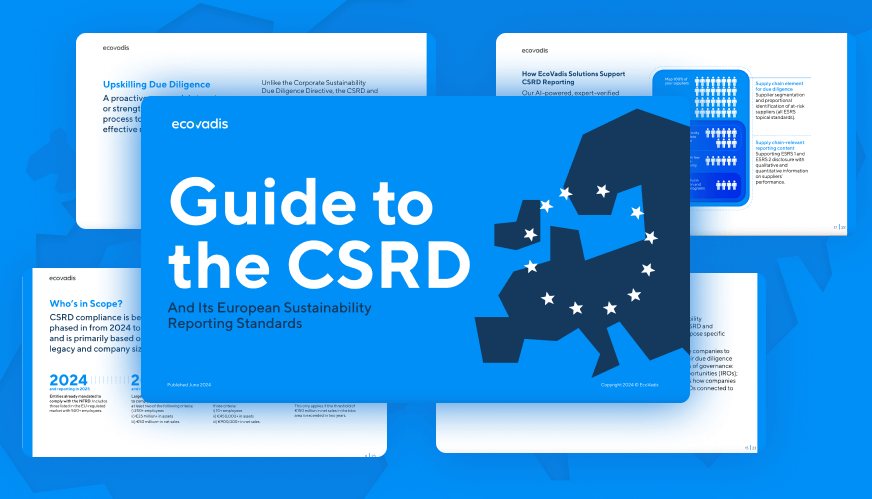 CSRD Reporting: How to Comply | EcoVadis